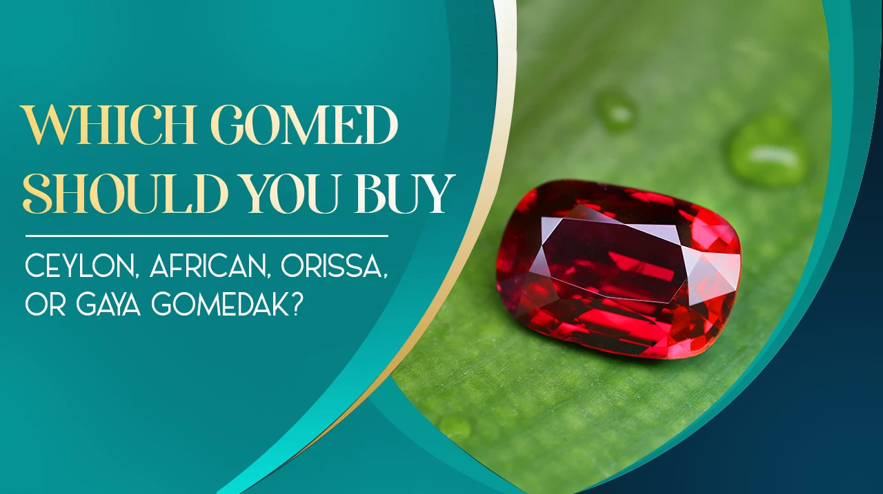 Which Gomed is Best? Ceylon, African, Orissa or Gaya Gomedak